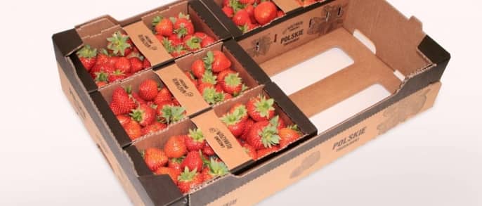 Fruits and vegetables – KIDV