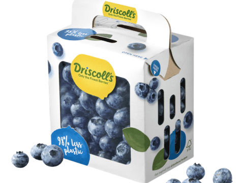 Blauwe bessen in FSC-kartonnen verpakking – KIDV